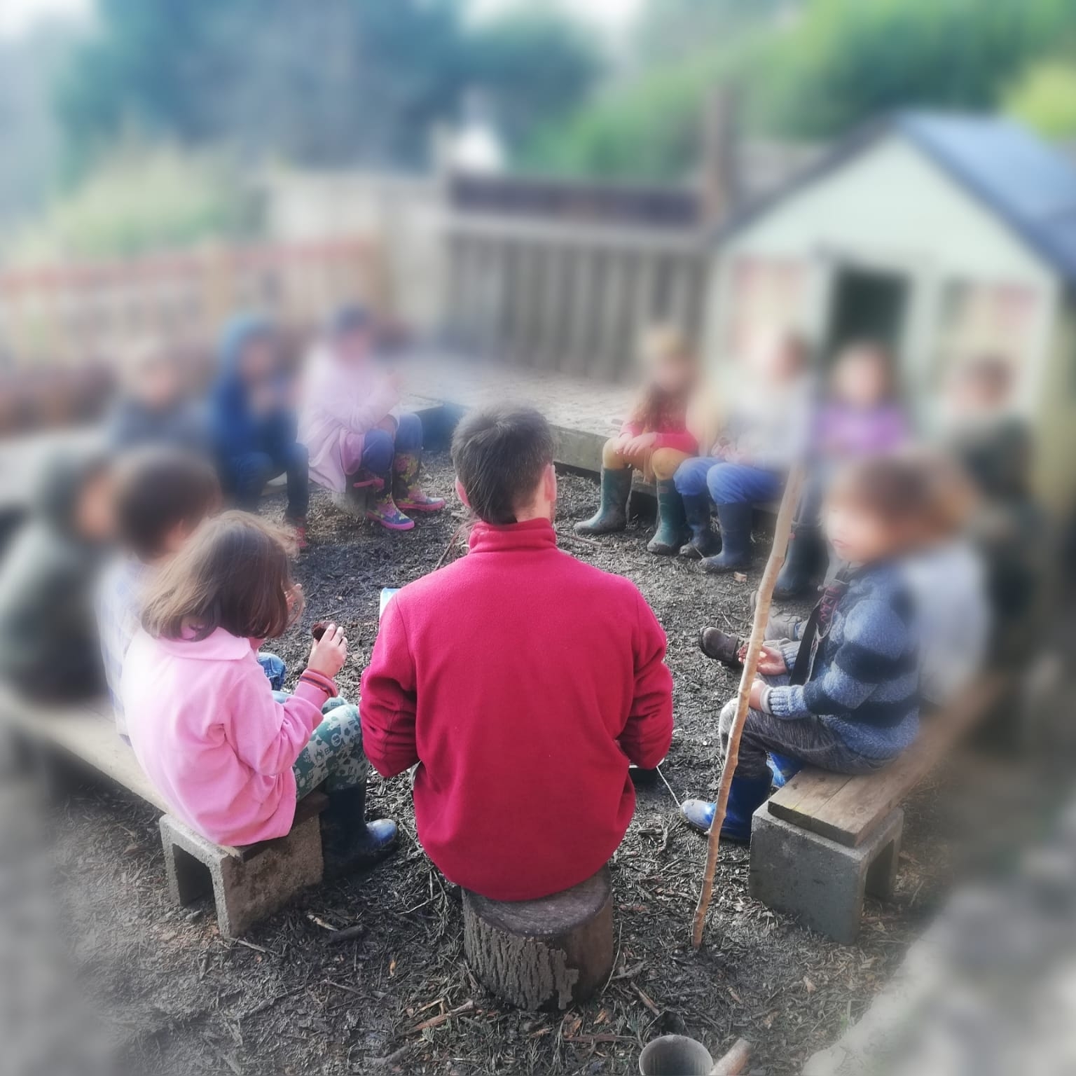 The Apple Tree – A Co-Creative Steiner Inspired Home Education Project